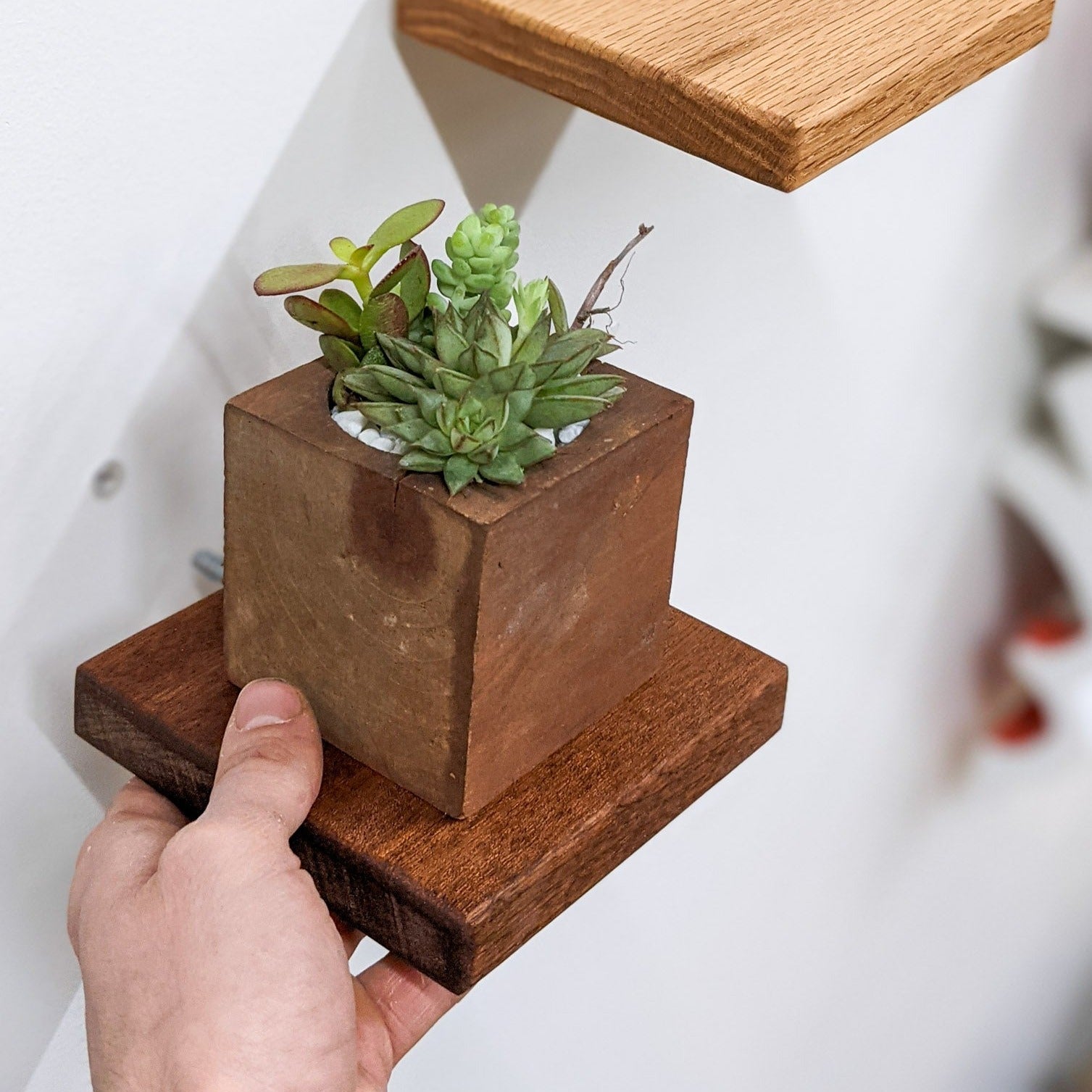 Small Square Floating Shelves in Mahogany